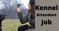 Kennel Attendant Job: Duty and Requirements - Kennel Attendant Job