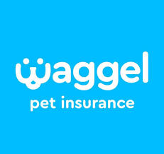 Waggle pet insurance review - NewBalancejobs