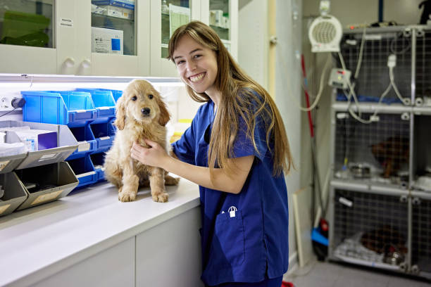 What Does A Kennel Technician Do? (Salary, Job Description, And More ...