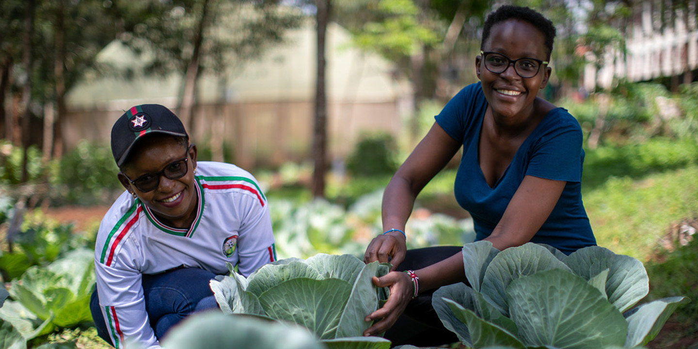 Mastercard Foundation BRIDGE-in Agriculture Training Program ...