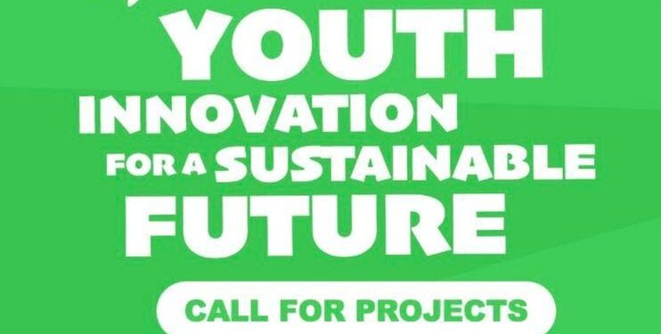 Youth Innovation for a Sustainable Future Program 2024