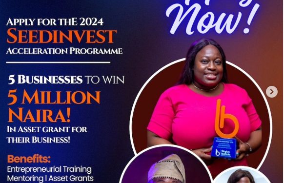 SEEDINVEST Acceleration Program For MSMEs In Nigeria ( Up To N5 Million Grant Prize ...