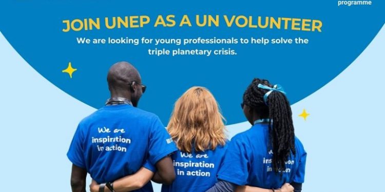 UNEP UNV Young Talent Pipeline Program 2024 • NewBalancejobs