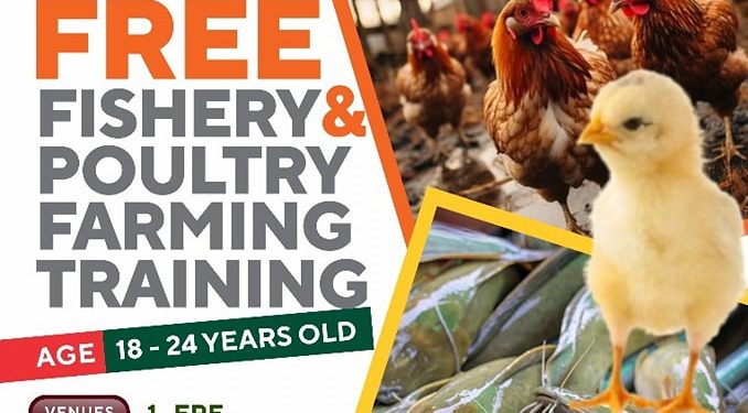 LASTVEB/IITA Free Fishery And Poultry Farming Training • NewBalancejobs