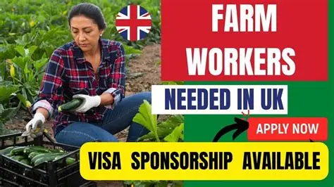 Farm Worker Jobs In The UK With Visa Sponsorship (2025): How To Search ...